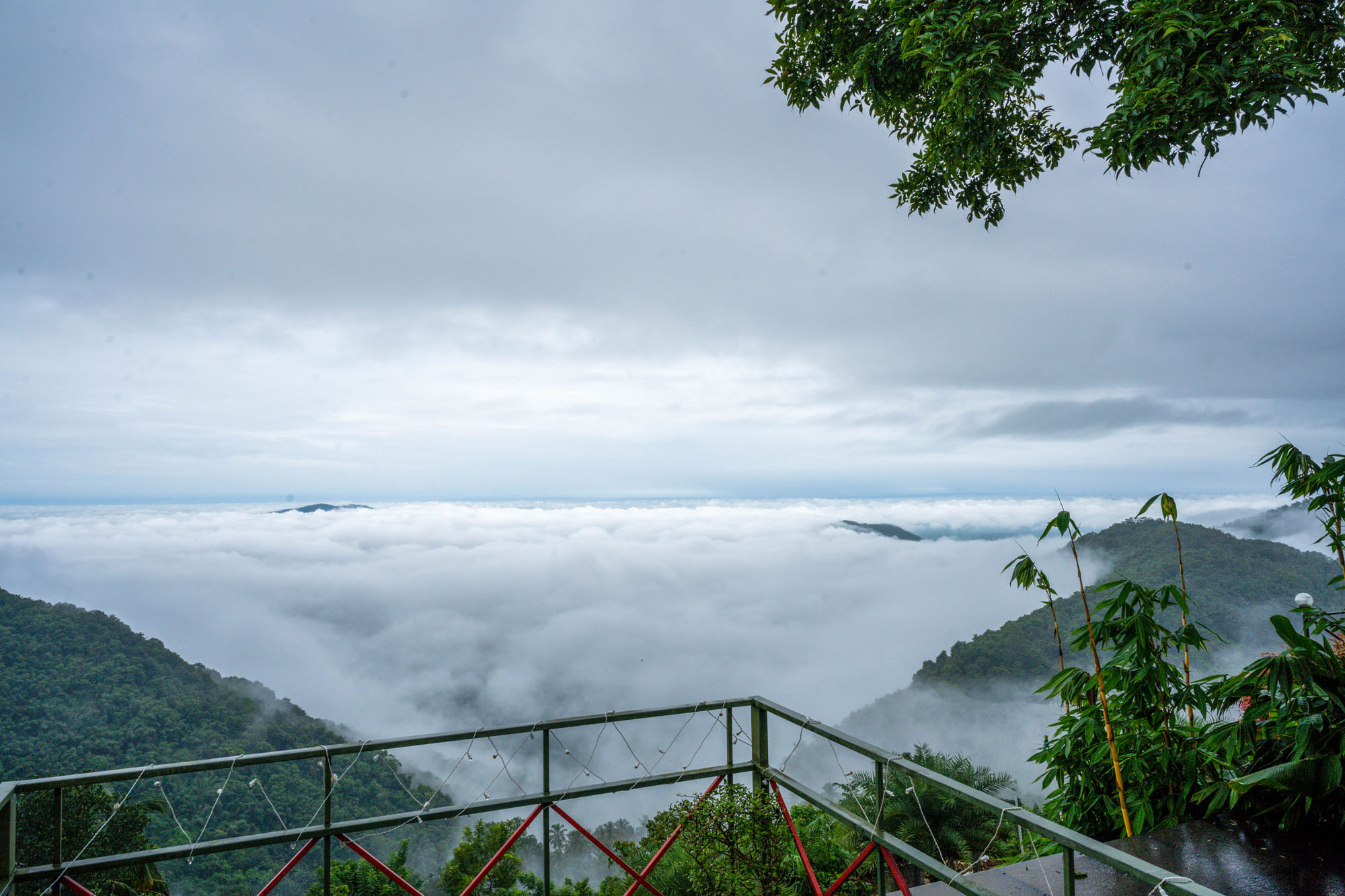 14 Best Places to Visit in Kozhikode | Vayalada Valley View